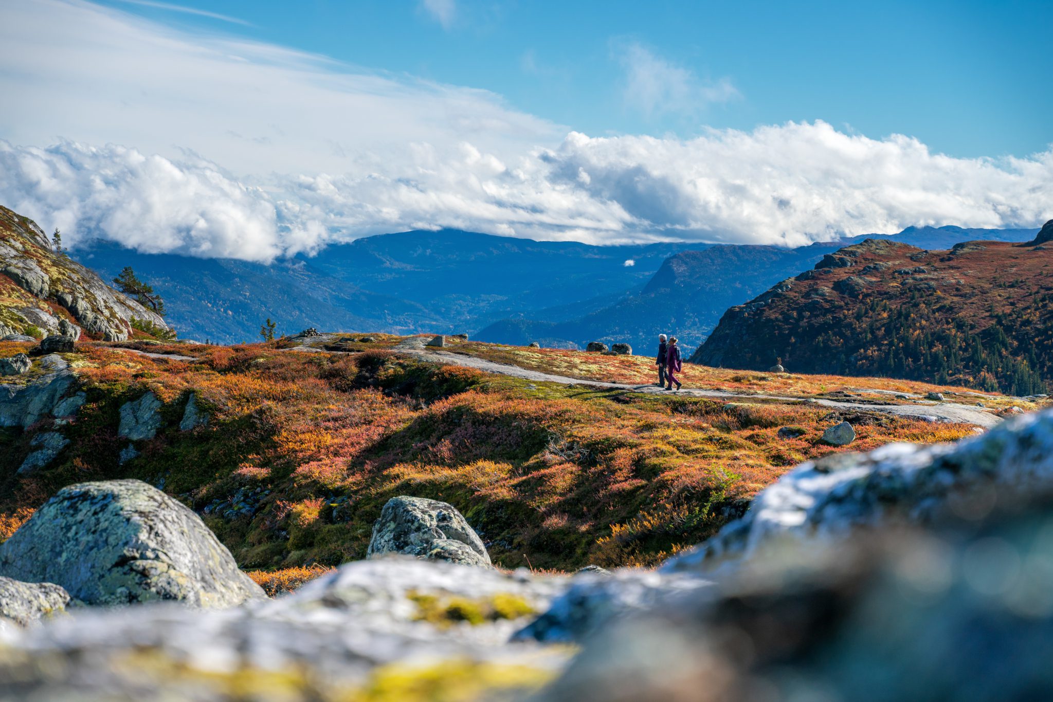 Høstens fineste opplevelser i Nesbyen | Visit Nesbyen