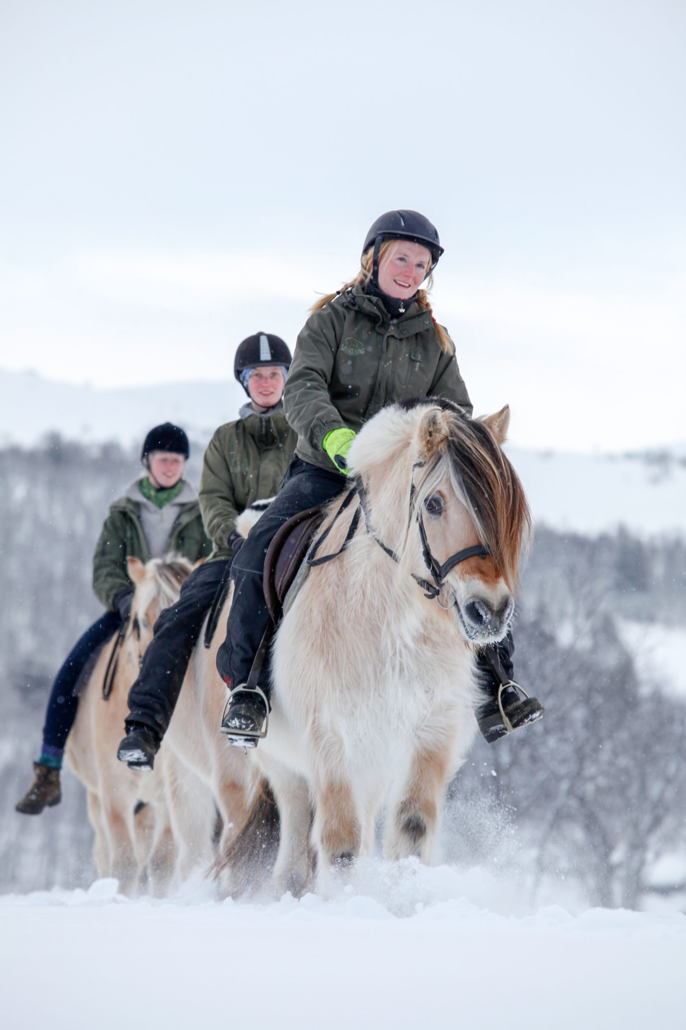 Hesteridning på høyfjellet | Visit Nesbyen