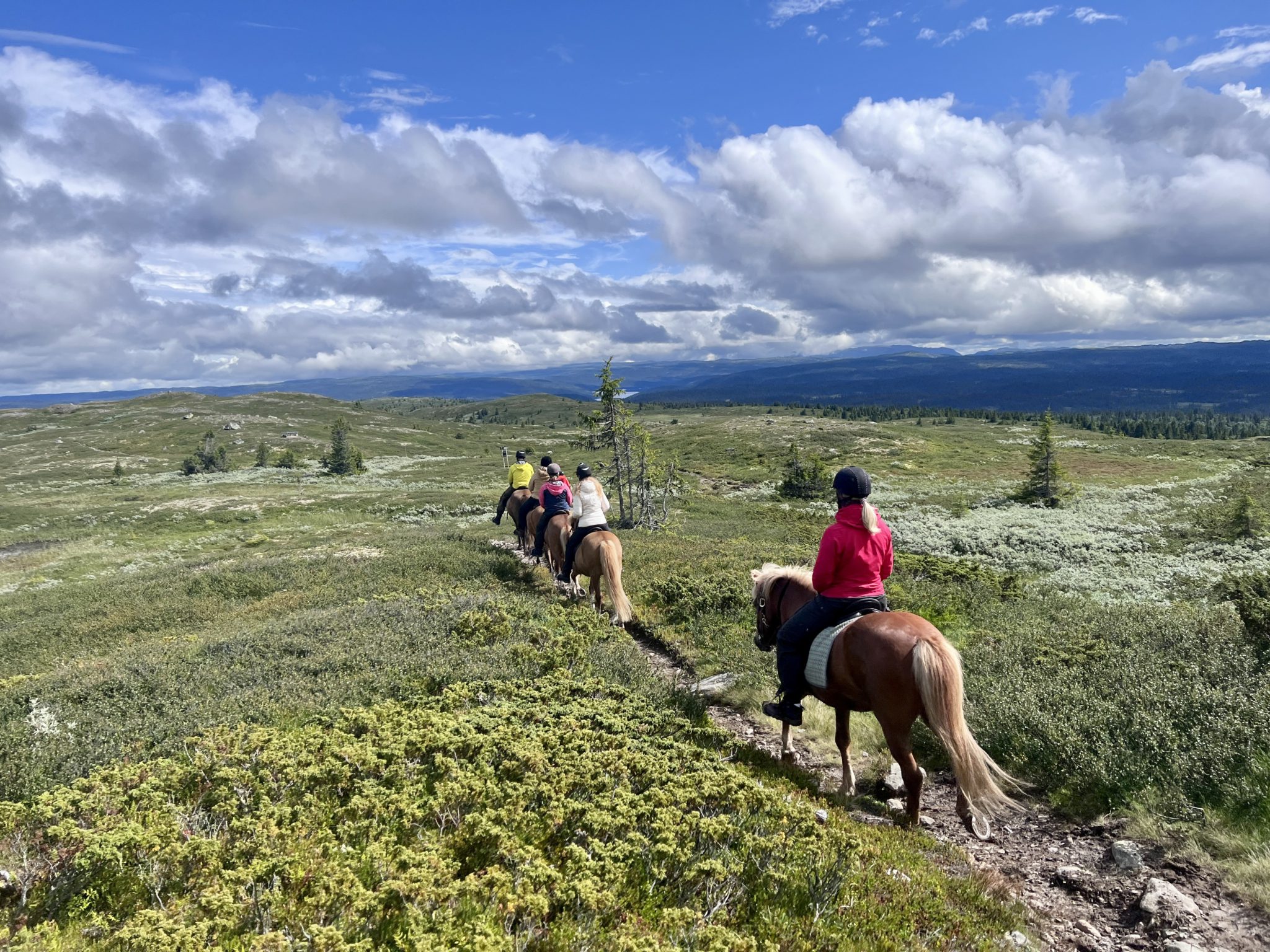 Visit Nesbyen | Hesteridning på høyfjellet
