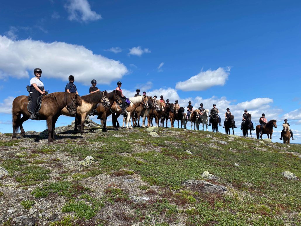 Visit Nesbyen | Hesteridning på høyfjellet