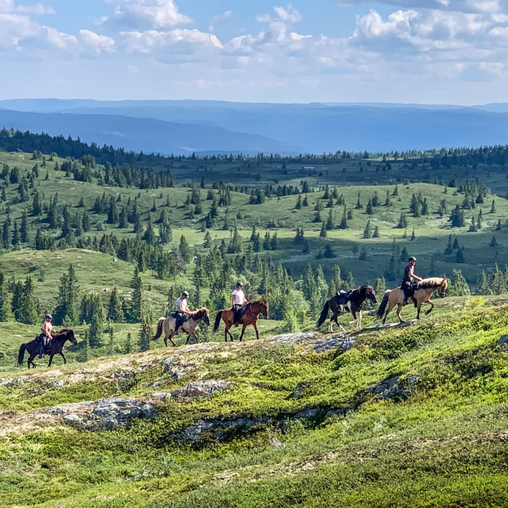 Kommende arrangementer | Visit Nesbyen