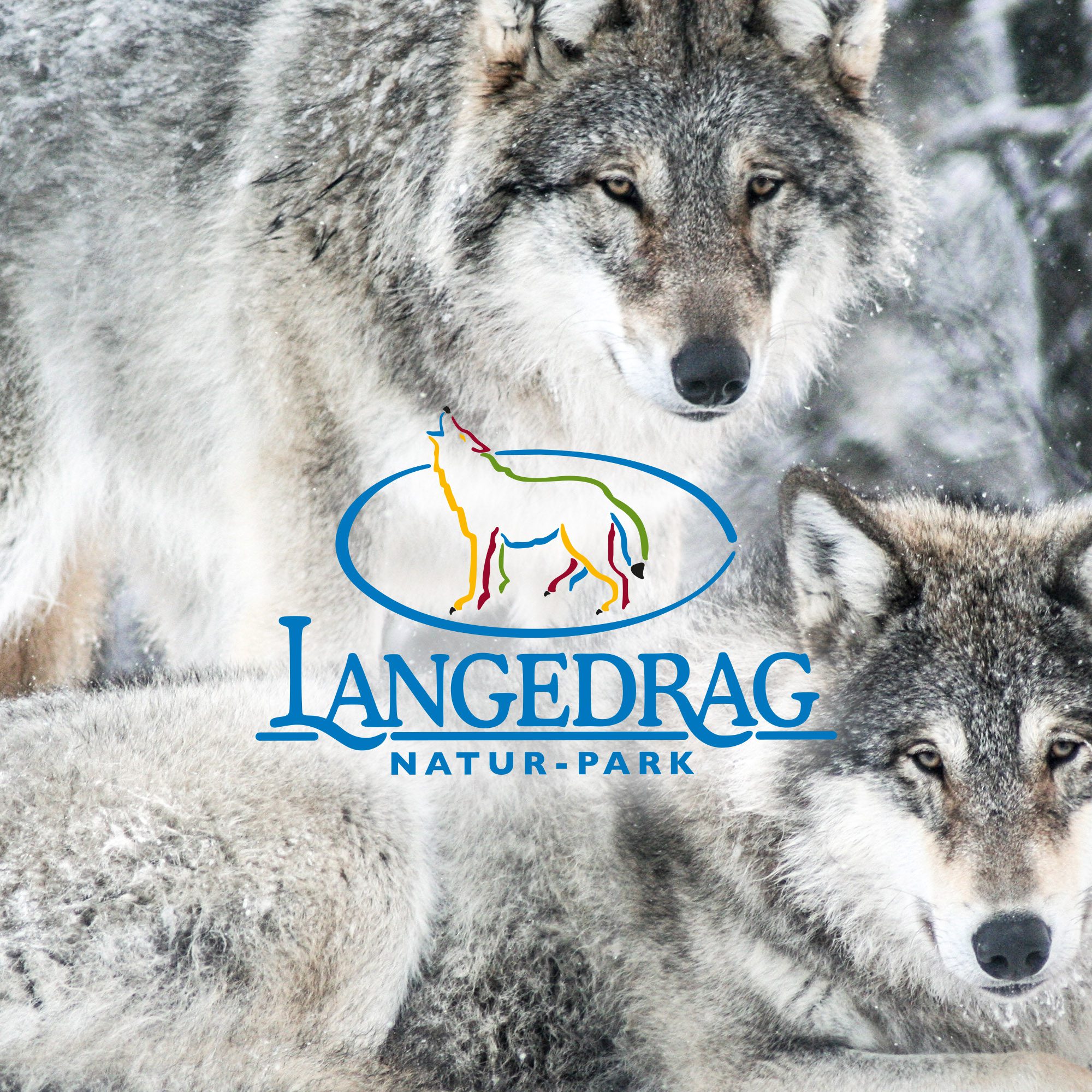 Vinter på Langedrag | Visit Nesbyen