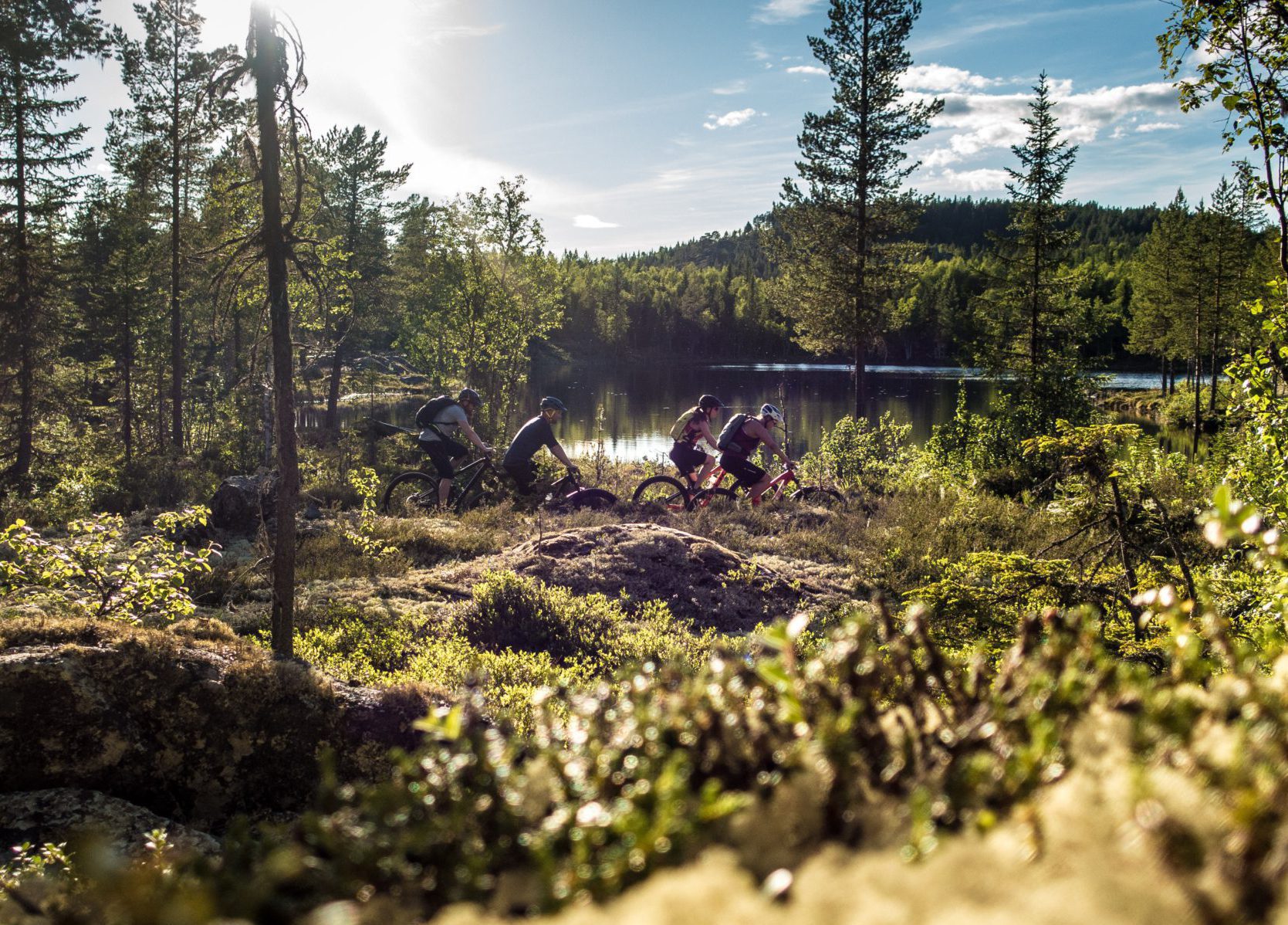 Tursykling i Nesbyen | Visit Nesbyen