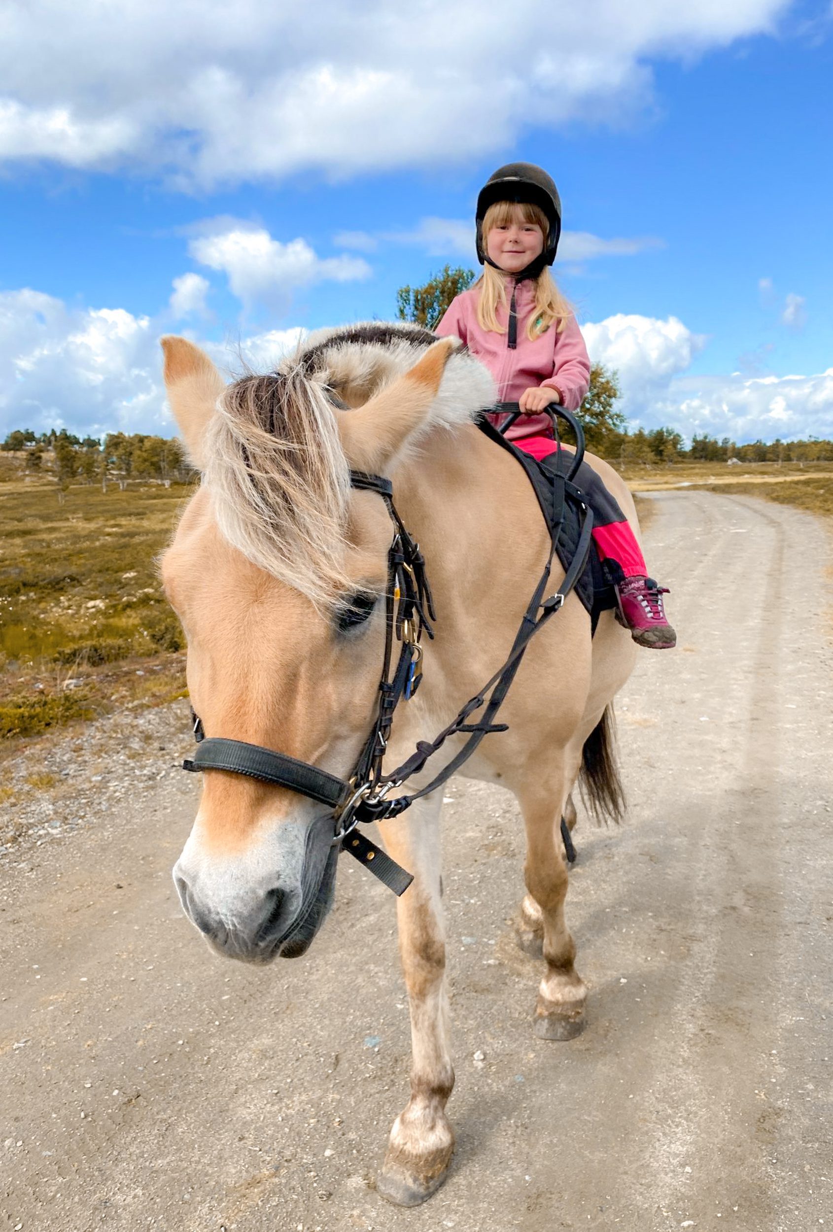 Visit Nesbyen | Høstens fineste opplevelser i Nesbyen