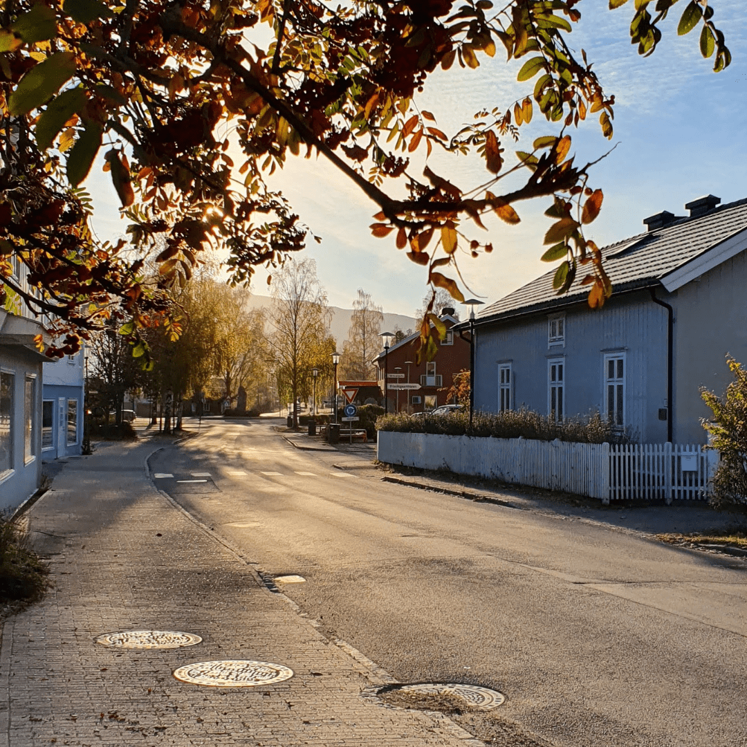 Visit Nesbyen | Idébanken, engasjement og lokalpolitikk